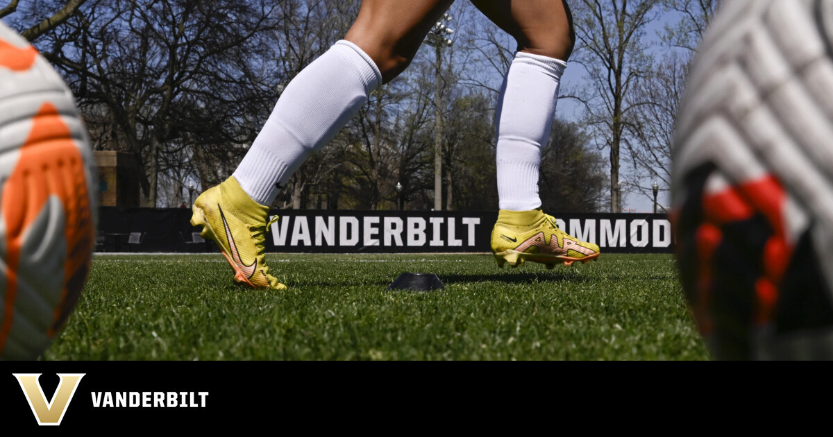 Dores Go International